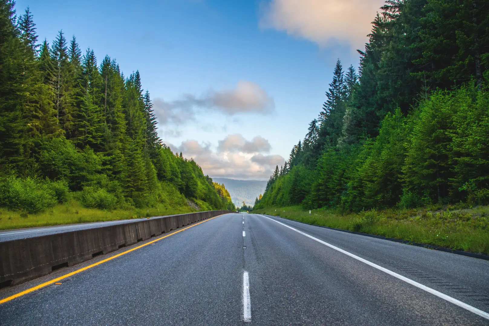 On the Open Road to Home Organization: Clear Your Pathways